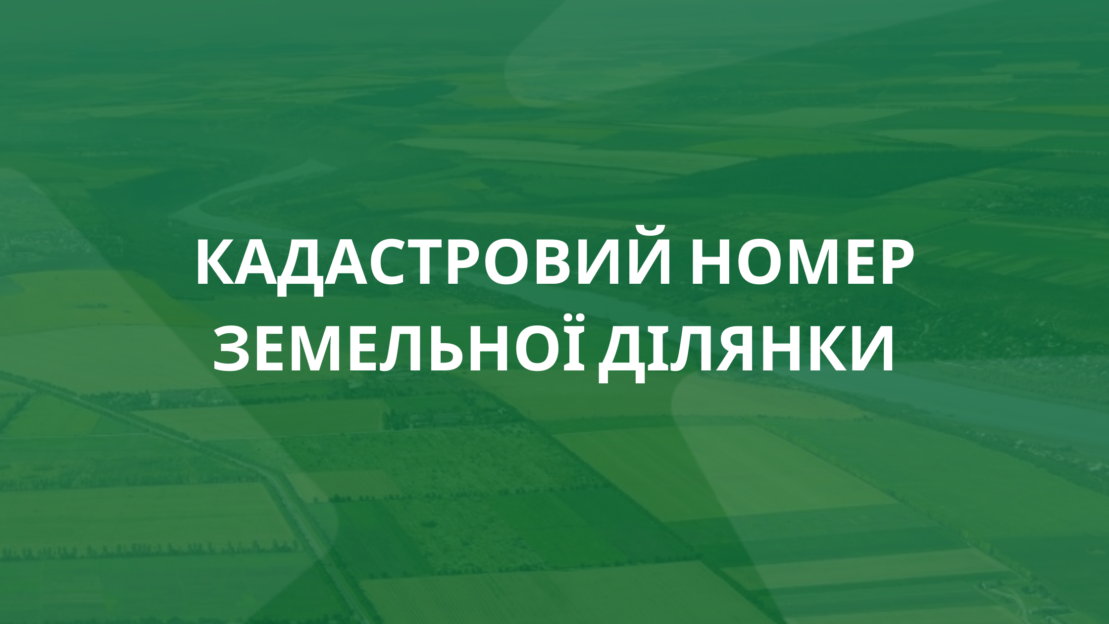 Кадастрова карта України — кадастр лайф — пошук землі